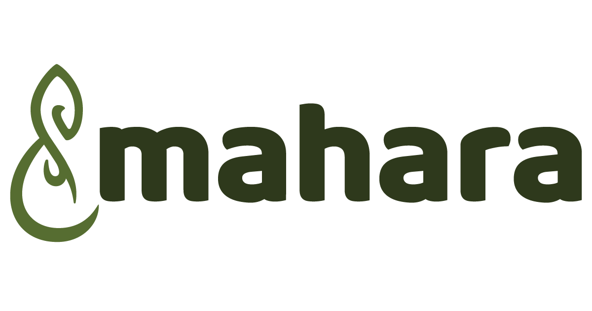 dkitlogo-fullcolour-1.jpg in Cover Page - DkIT Mahara